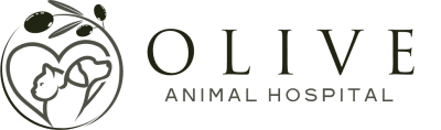 Compassionate Veterinary Care in Danville, IN | Olive Animal Hospital